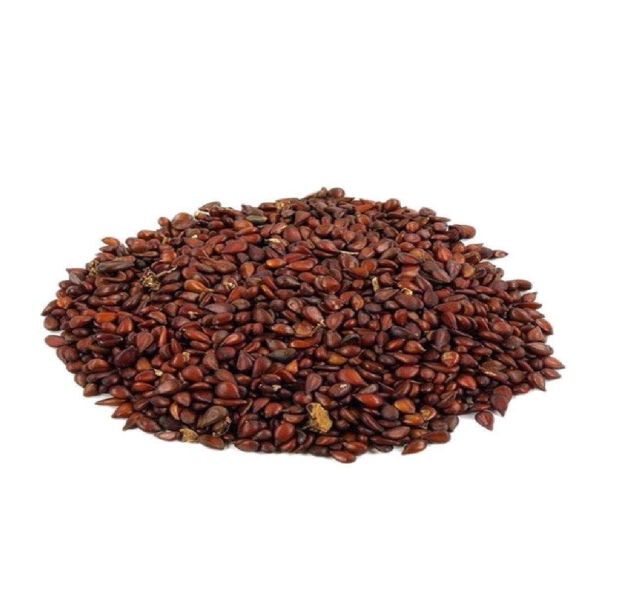 BEEDANA - BIDANA - QUINCE SEEDS - BAHEE DANA - PYRUS CYDONIA