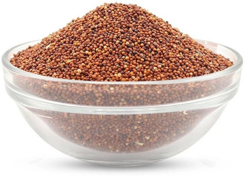 RAGI - RAAGI - MANDWA - MADUA - FINGER MILLET - ELEUSINE CORACANA