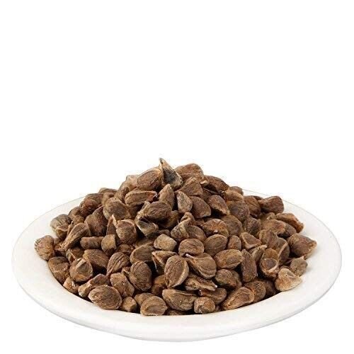 AYURVEDIC ELEPHANT CREEPER-ARGYREIA SEED RAW DRIED SEED-VIDHARA-BIDHARA ...