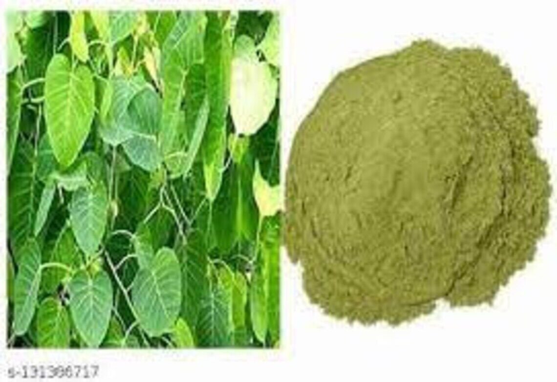 Peepal Leaf Powder / Peepal Leaves Powder / Ficus Religiosa Leaves ...
