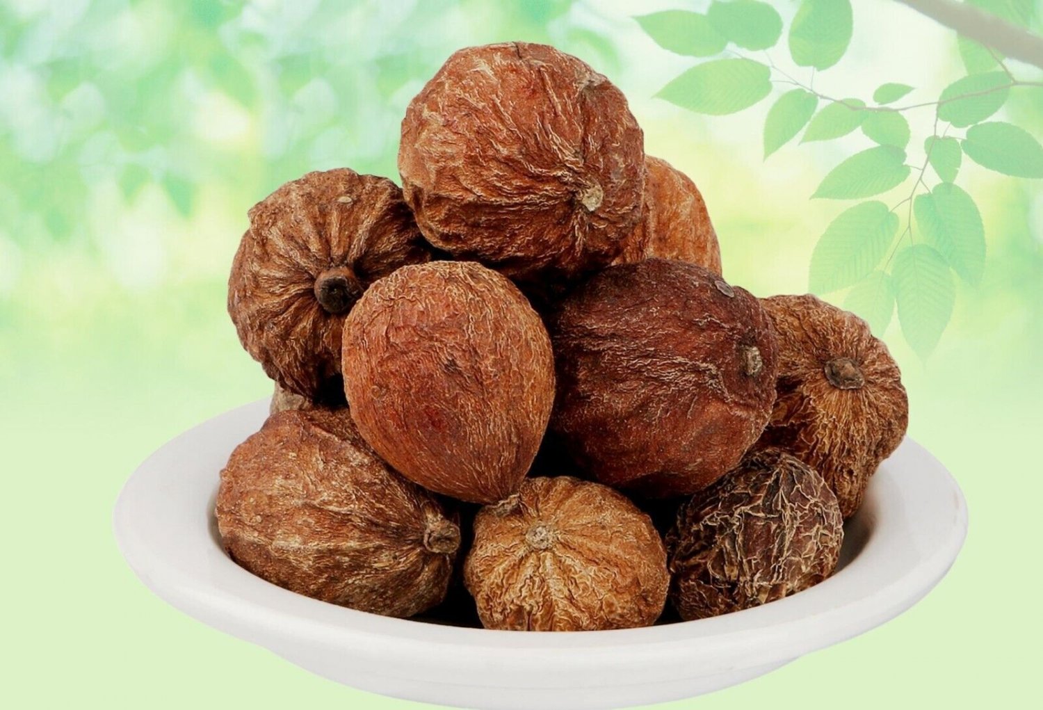 NATURAL MEND PHAL - MAIND PHAL - MED PHAL - MADAN PHAL - EMETIC NUT