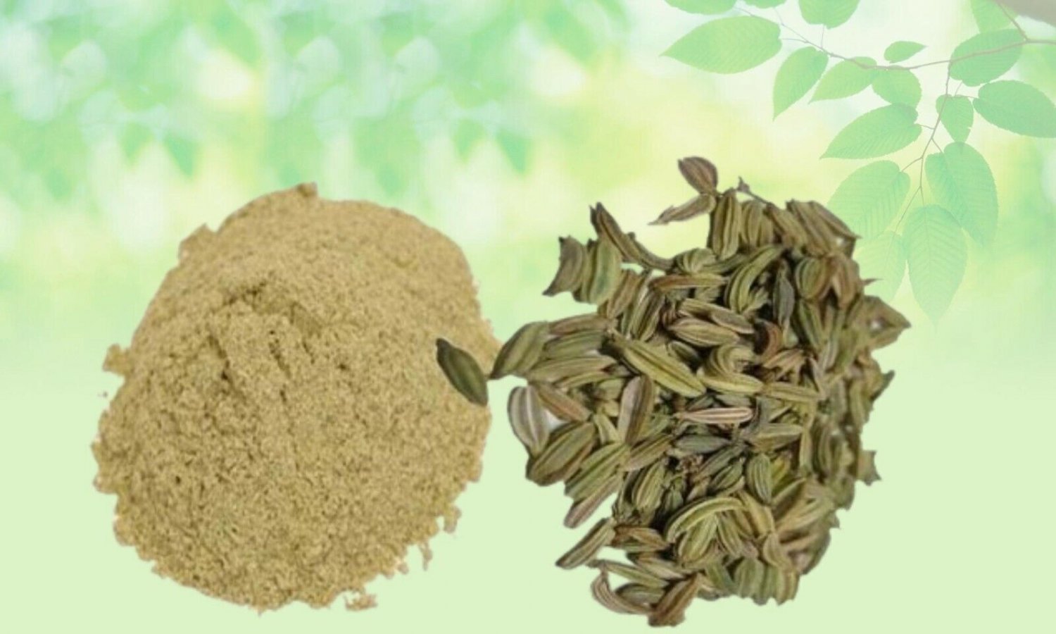 SAUNF MOTI POWDER- FENNEL SEEDS THICK - ANISEED - FOENICULUM VULGARE MILL