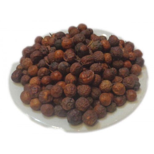 BAKAYAN PHAL - BAKAIN FAL - PERSIAN LILAC - MELIA AZEDARACH