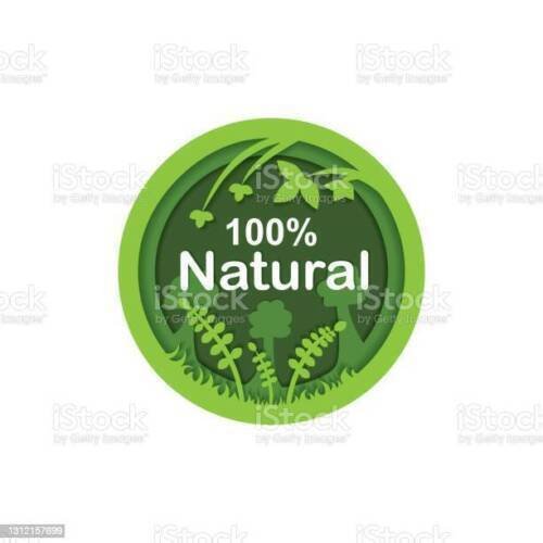 BAKAYAN PHAL - BAKAIN FAL - PERSIAN LILAC - MELIA AZEDARACH