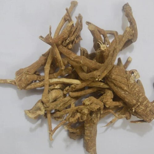 NATURAL PUNARNAVA ROOTS - BOERHAVIA DIFFUSA - SATHI JADD