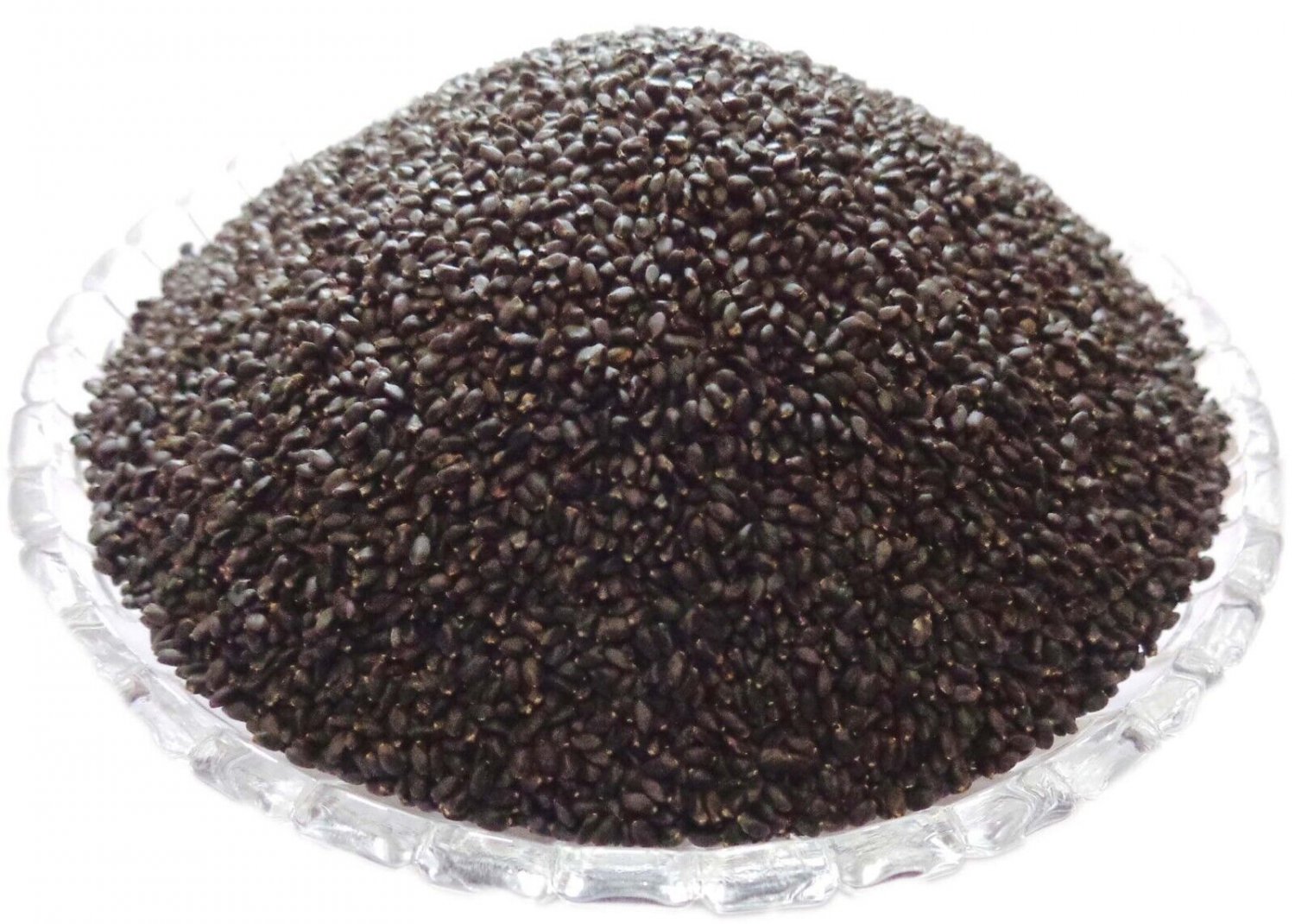 TUKH MALANGA BEEJ - TUKHMALANGA SEEDS - TUKMALANGA SEEDS - OCIMUM BASILICUM