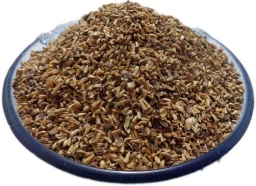 KASNI SEEDS - KASINI BEEJ - KAASNI SEEDS - CHICORY - CICHORIUM INTYBUS