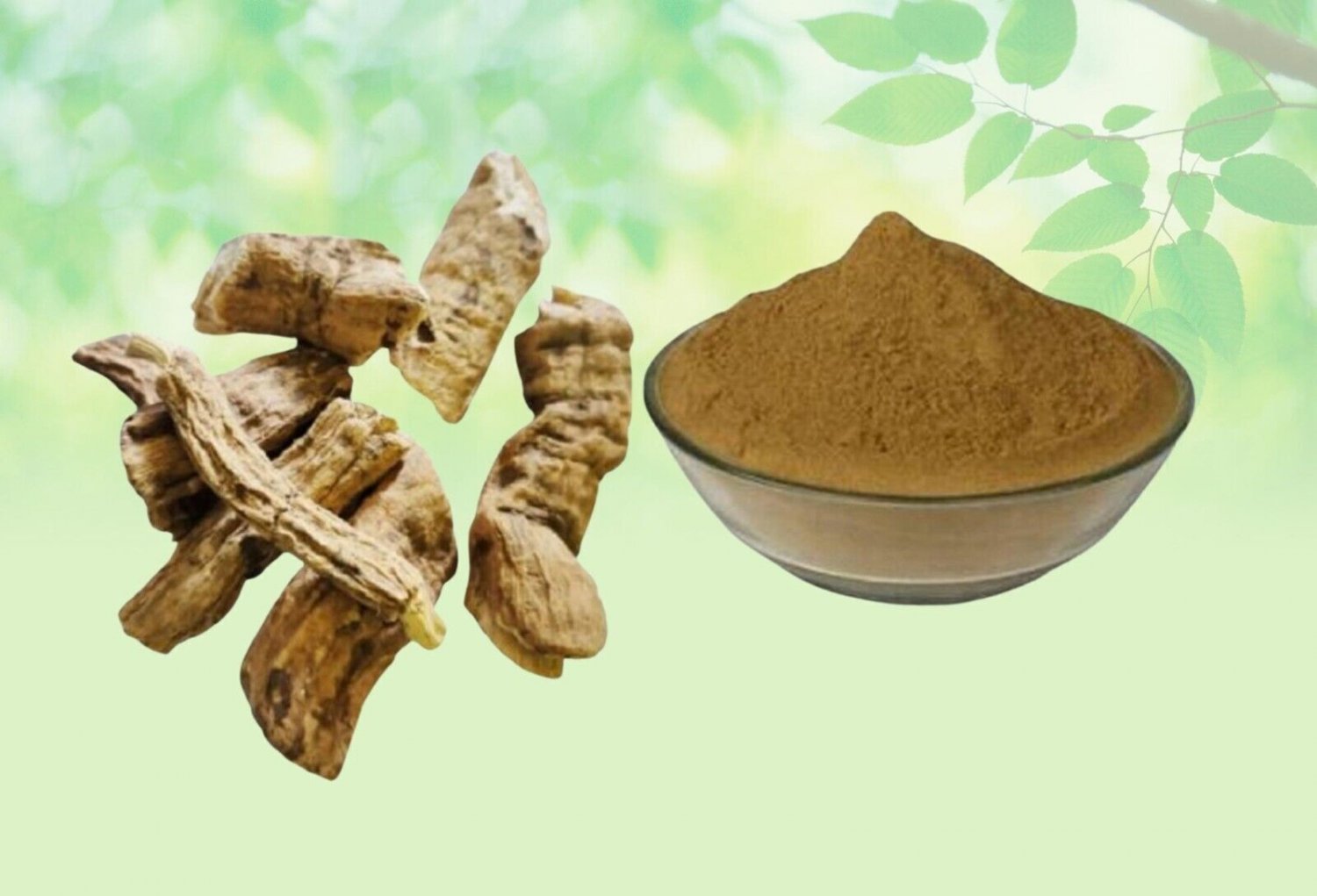 NISHOTH SAFED POWDER -NISHOD WHITE -HIGH JOHN-TURBAD-TURPETHUM-INDIAN JALAP