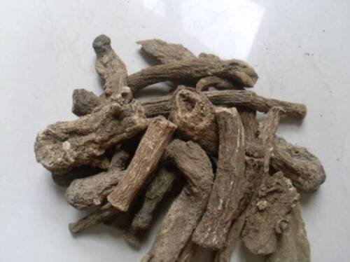 KUSHTHA ROOTS SAUSSUREA LAPPA COSTUS KUSHTA - Indian Raw & Whole Herbs ...