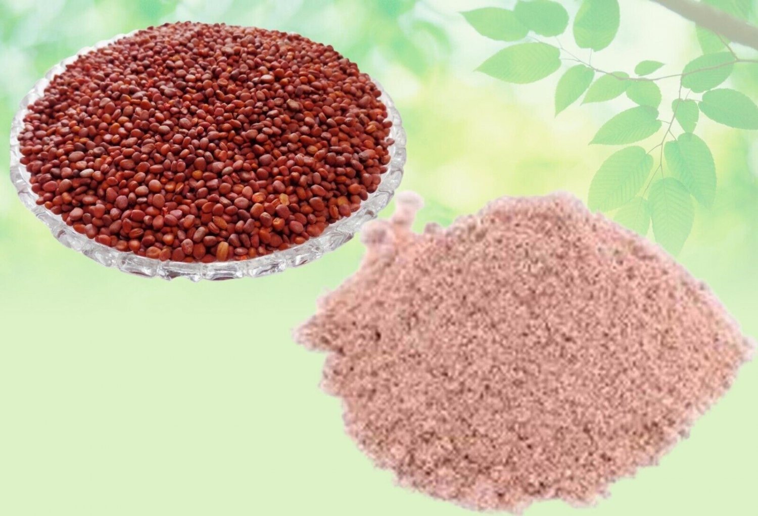 Mooli Khar-Radish Shaar-Raw Herbs-Mooli Kshar-Muli Kshaar-Jadi Booti ...