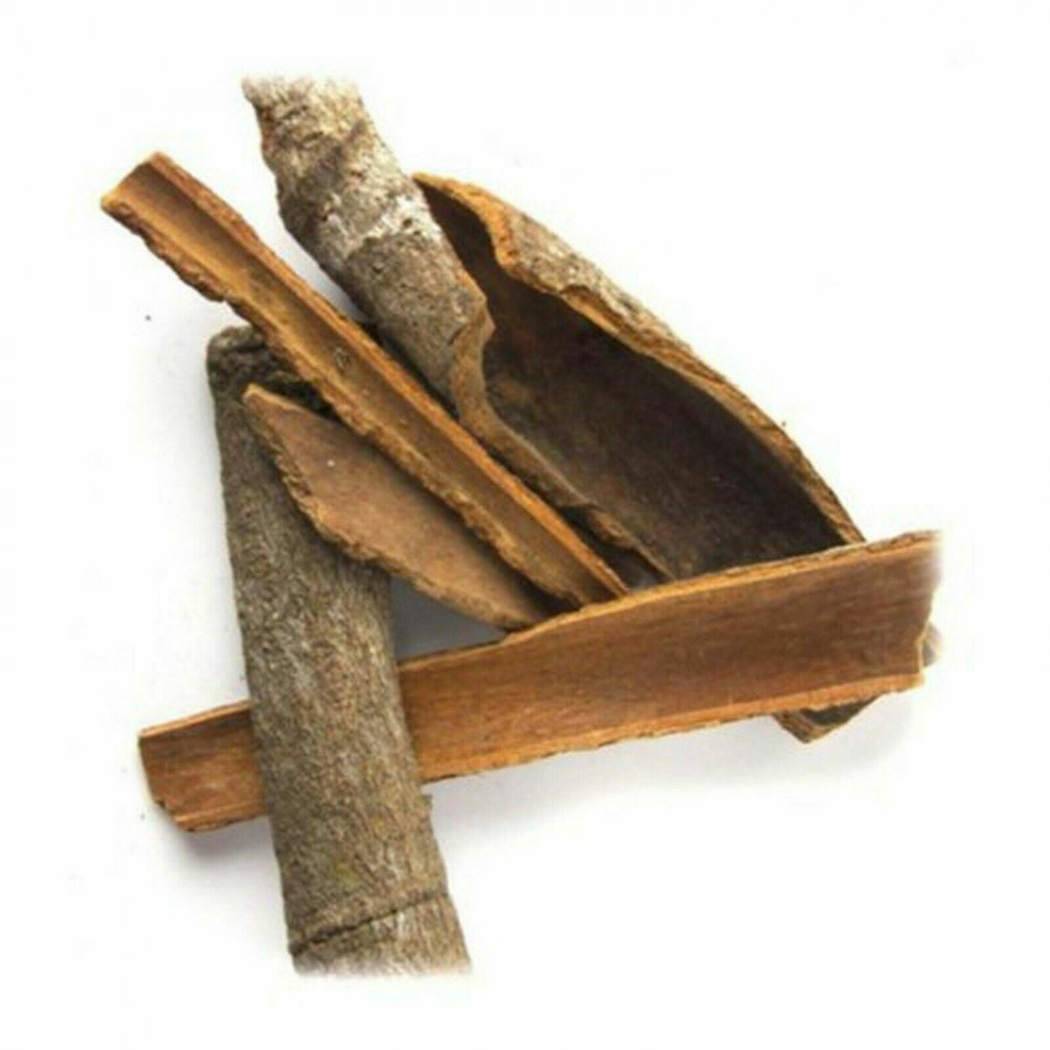 ASHOKA CHAAL - ASHOKA CHHAL - ASHOKA CHAL - ASHOKA BARK - SARACA INDICA