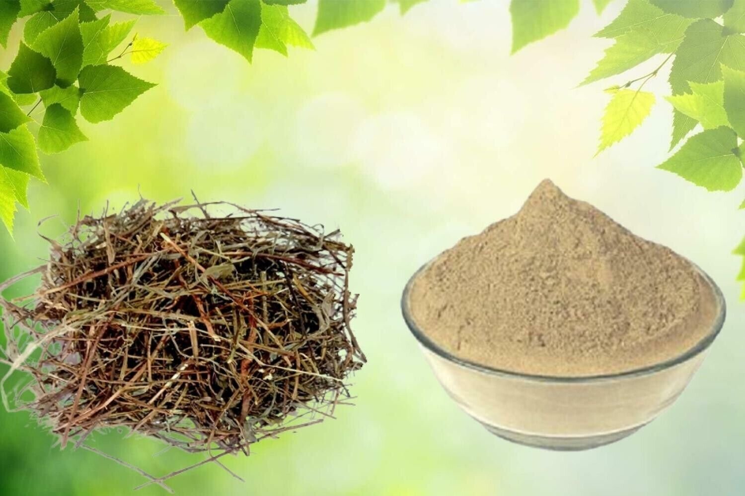 BHUMI AMLA POWDER - BHUMI AAMLA - BHOOMI AWLA - PHYLLANTHUS NIRURI