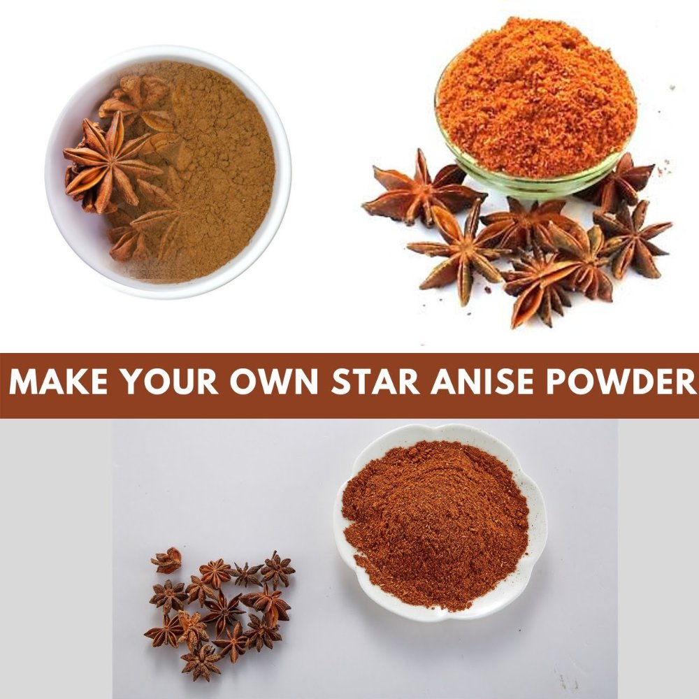 BADIAN KHATAI POWDER- BADIYAN KHATAI - CHAKRA PHOOL - ILLICIUM VERUM ...