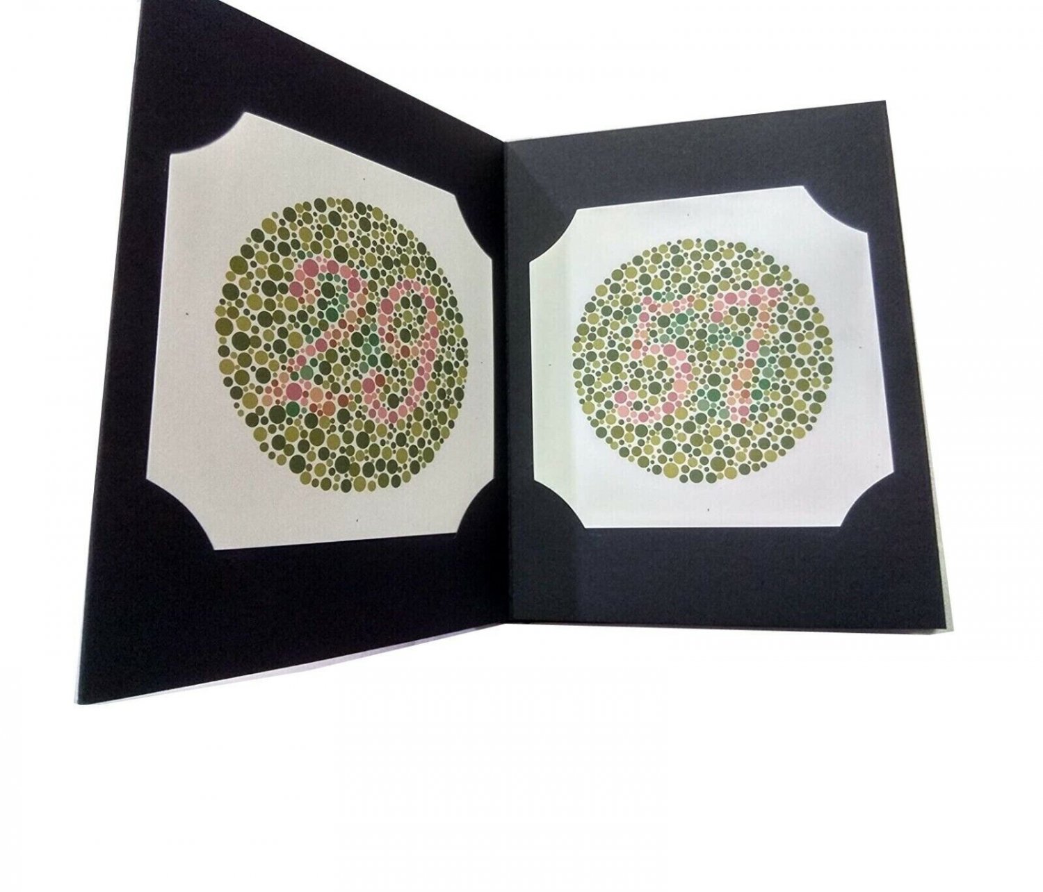 Ishihara Vision Test Book for Colour Deficiency 38 Plates with User ...