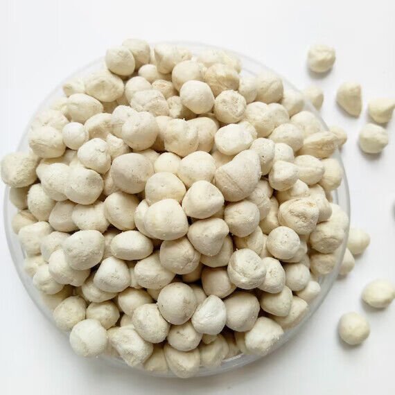 SEHJAN BEEJ -SOHJANA -MORINGA SEEDS -DRUMSTICK SEEDS -MORINGA OLEIFERA