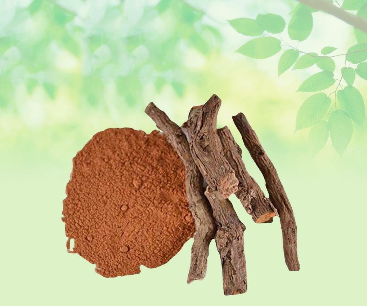 MAJITH ROOT POWDER - MANJISTHA ROOT -MANJITH -MAJEETH -MADDER - RUBIA ...