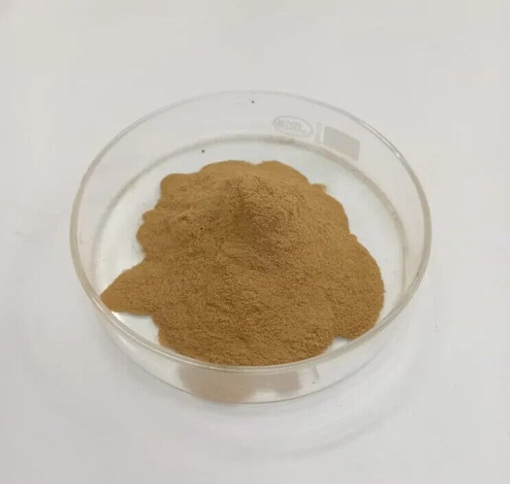 NATURAL VIDHARA POWDER-BIDHARA-ELEPHANT CREEPER- ARGYREIA- DRIED SEED ...