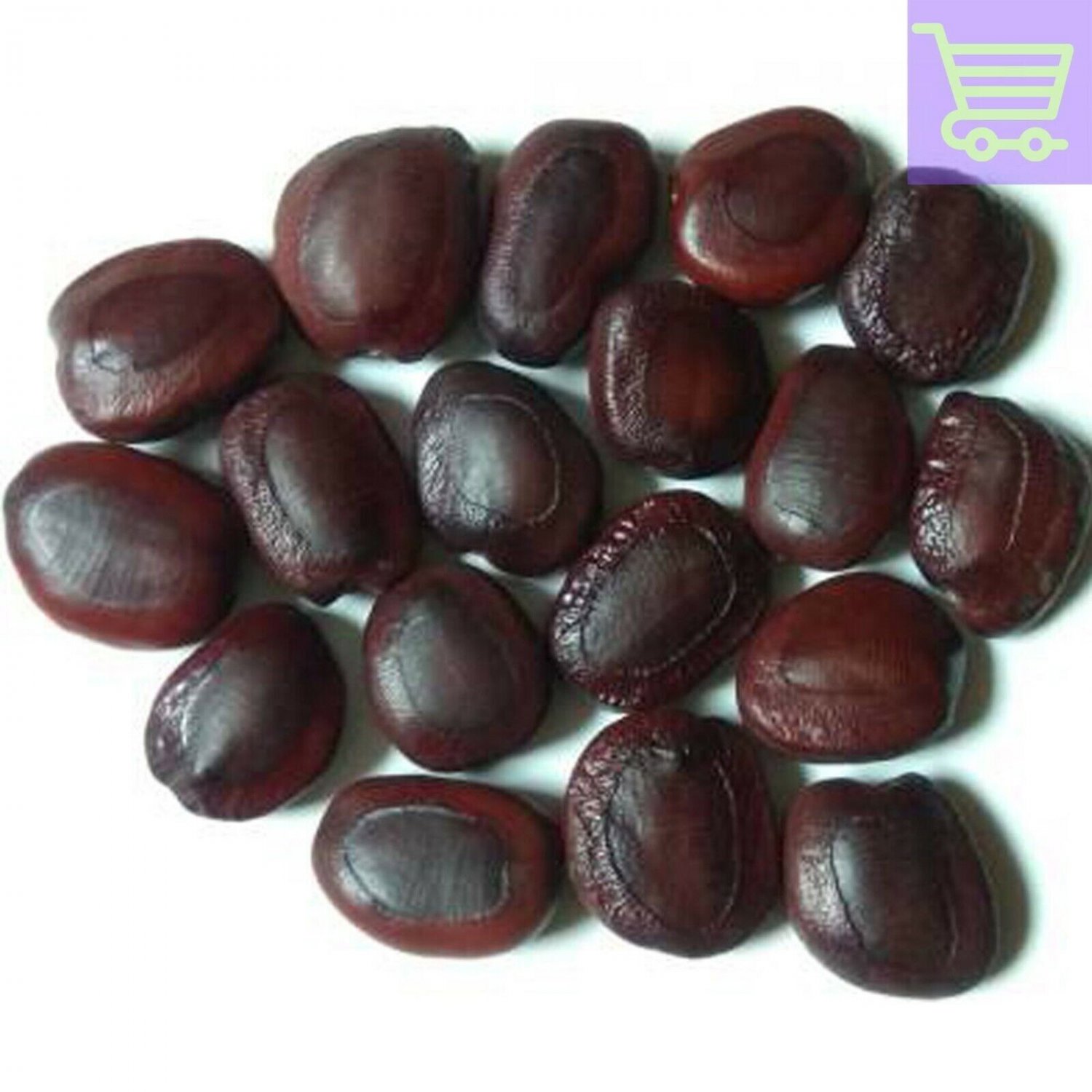 IMLI BEEJ CHOTA - EMLI SEED SMALL - TAMARIND SEEDS SMALL - TAMARINDUS ...