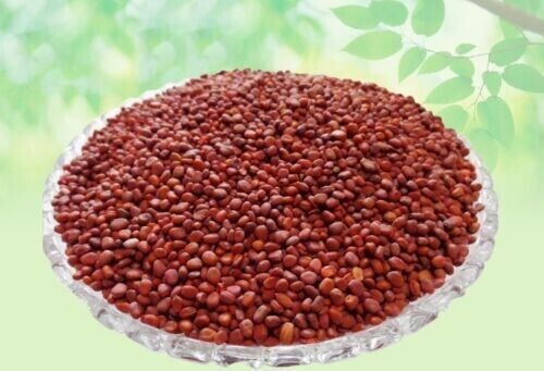 NATURAL EDIBLE BEEJ MOOLI - BEEJ MULI - RADISH SEEDS - RAPHANUS SATIVUS