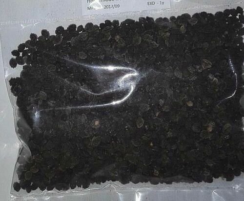 Papaya seeds, organic Papaya seeds- Dried Papita-Papaya Seeds-Raw Herbs ...