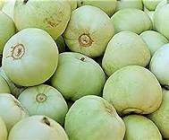 20 Pcs Green Muskmelon Sweet Melon