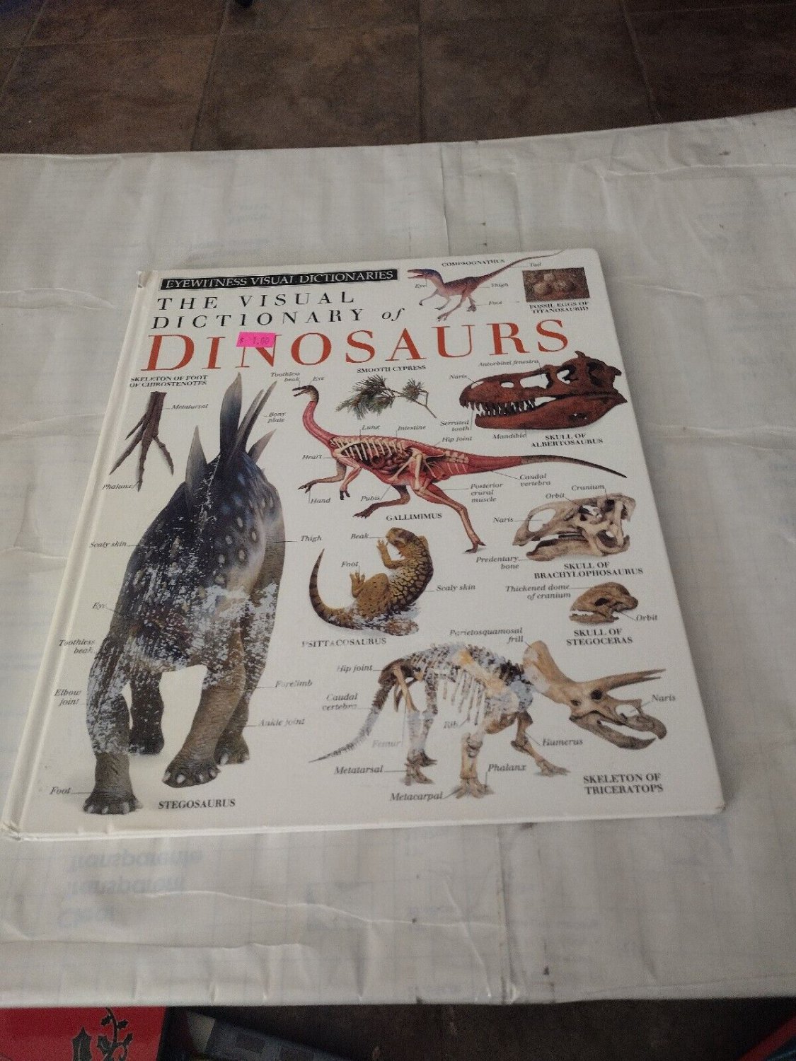 DK Visual Dictionaries Ser.: Dinosaurs by Dorling Kindersley Publishing ...