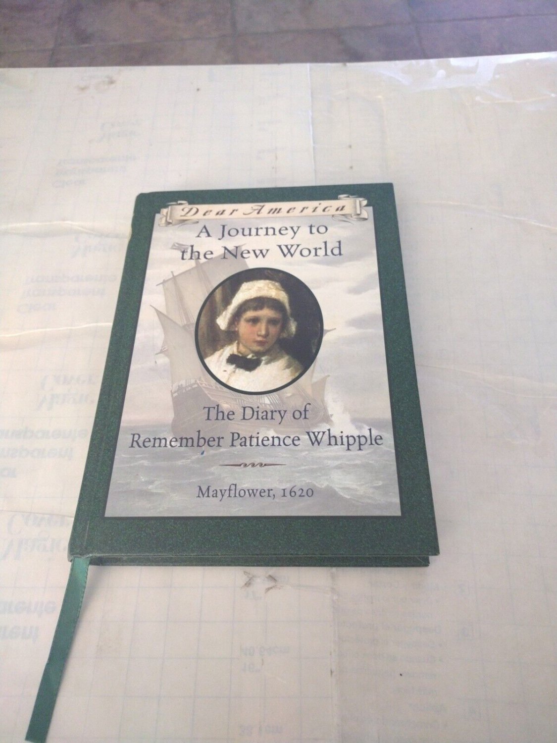 Dear America Ser.: A Journey to the New World : The Diary of Remember...