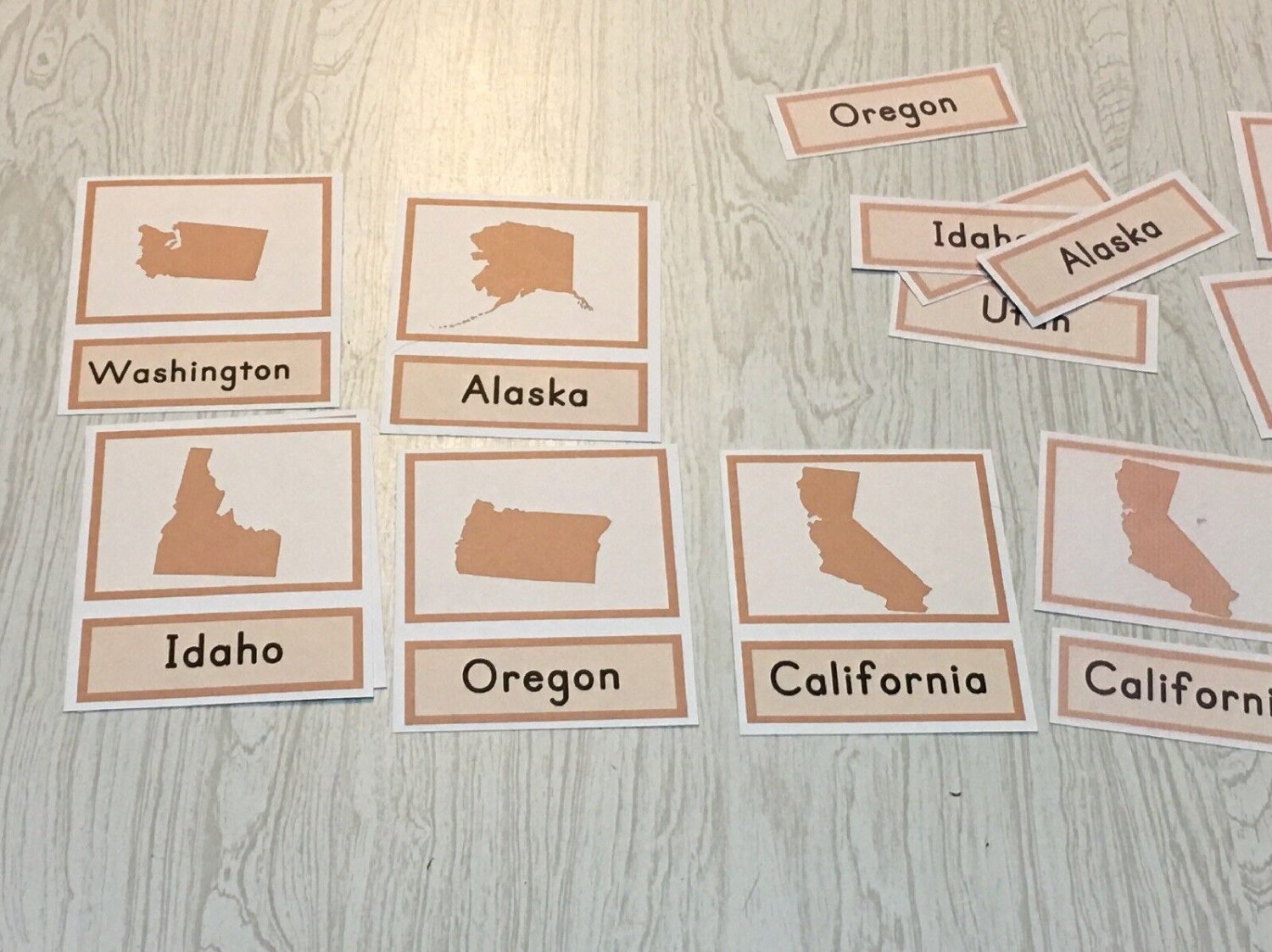 Identifying Fifty States - Three Part Cards - Montessori