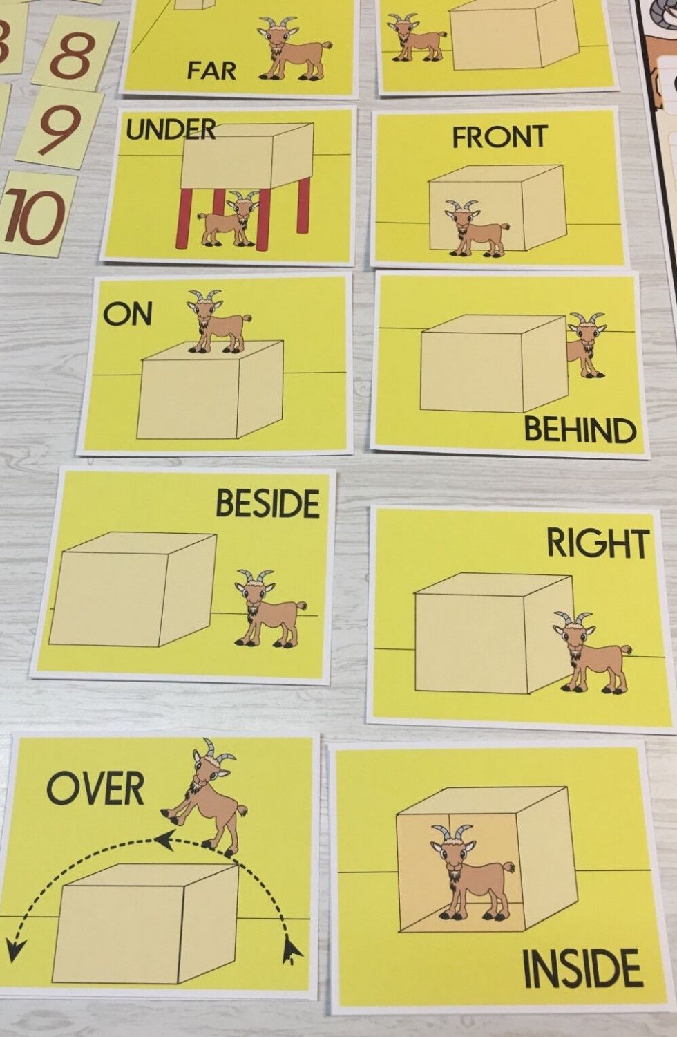 GOAT POSITION & DIRECTION CARDS -LAMINATED - Teaching supplies HOMESCHOOL