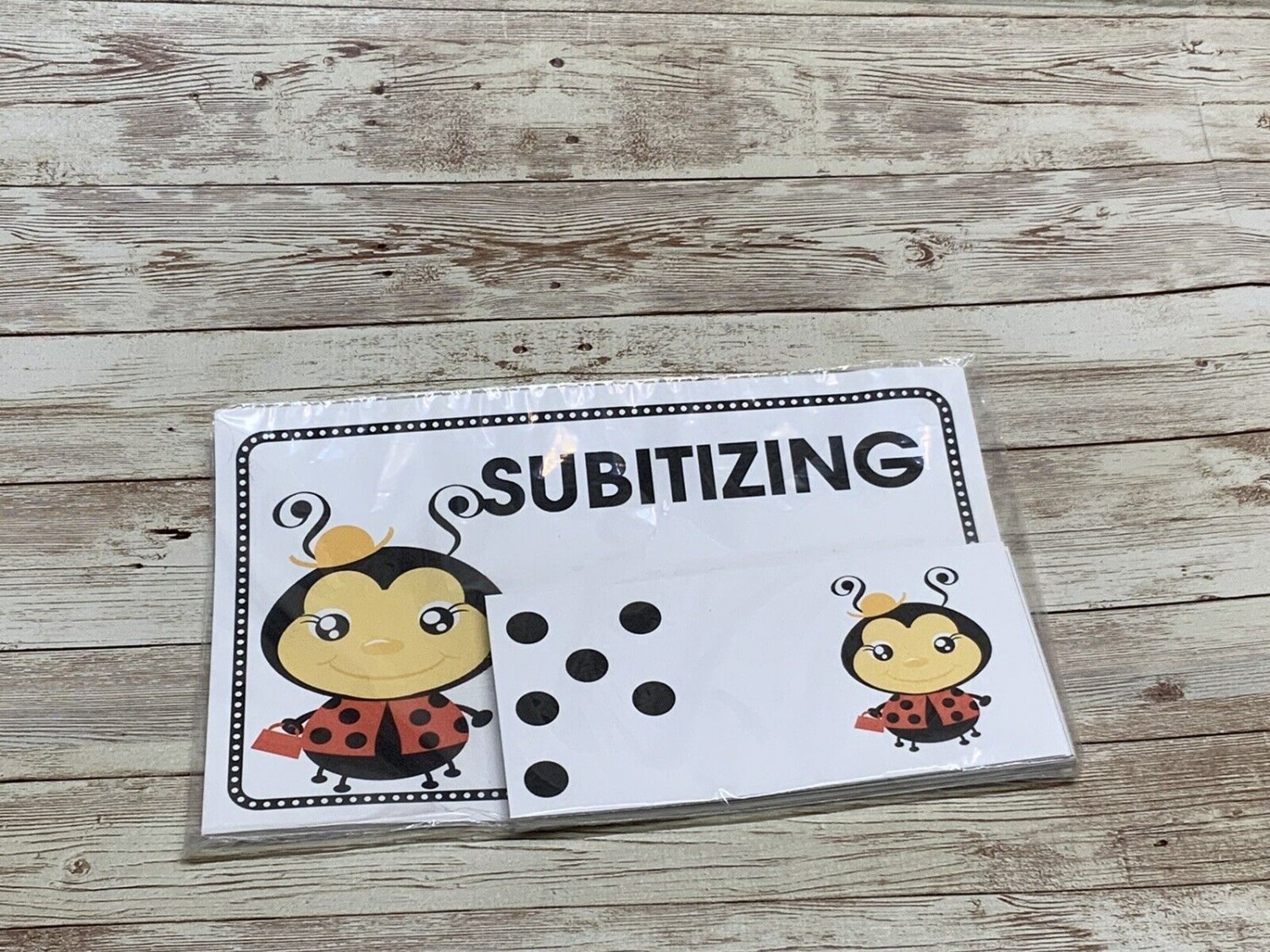 Lady Bug - Themed Learning Centers - Laminated -Subitizing