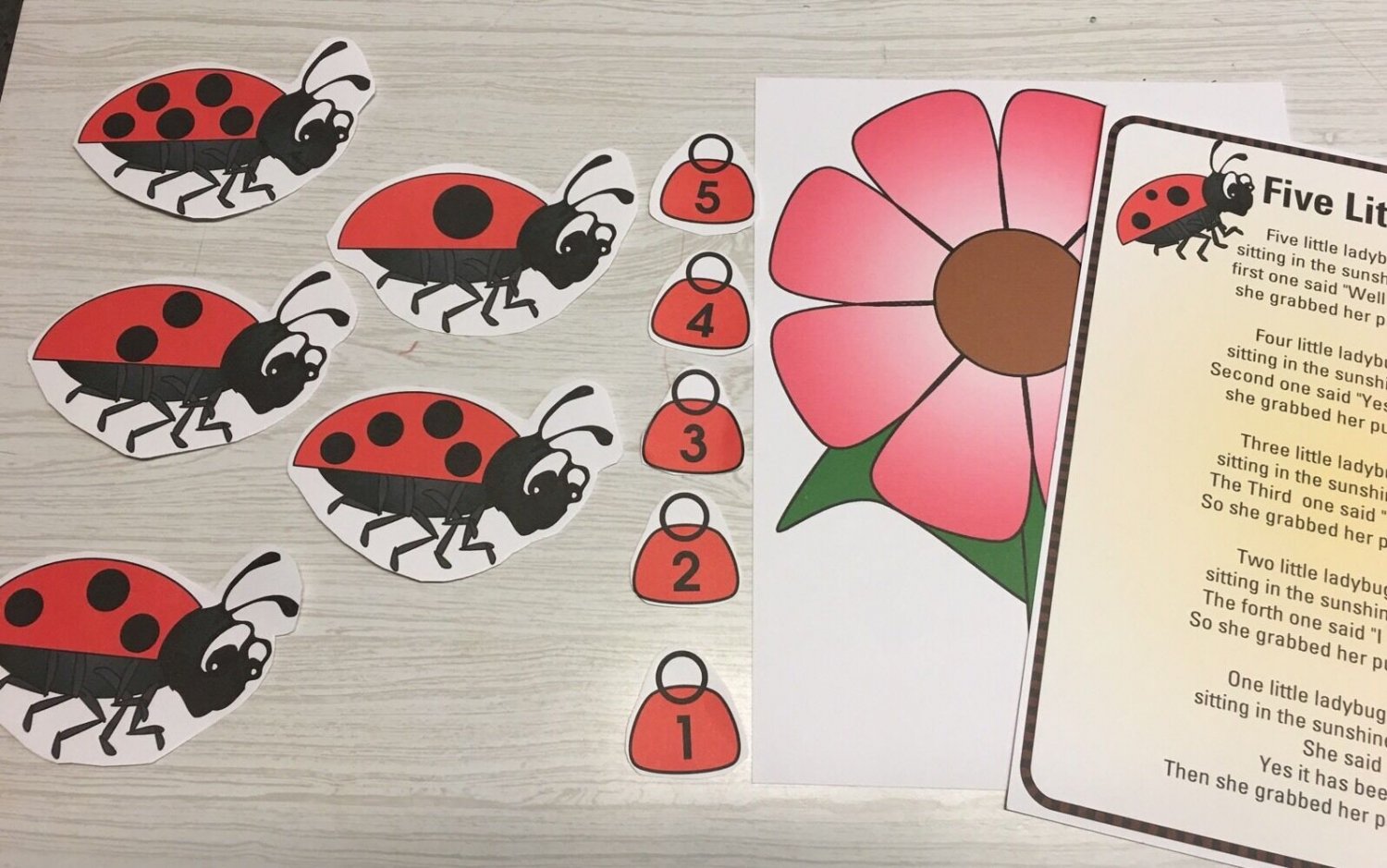 INSECTS-THEMED Learning Activities Package LAMINATED preschool Daycare