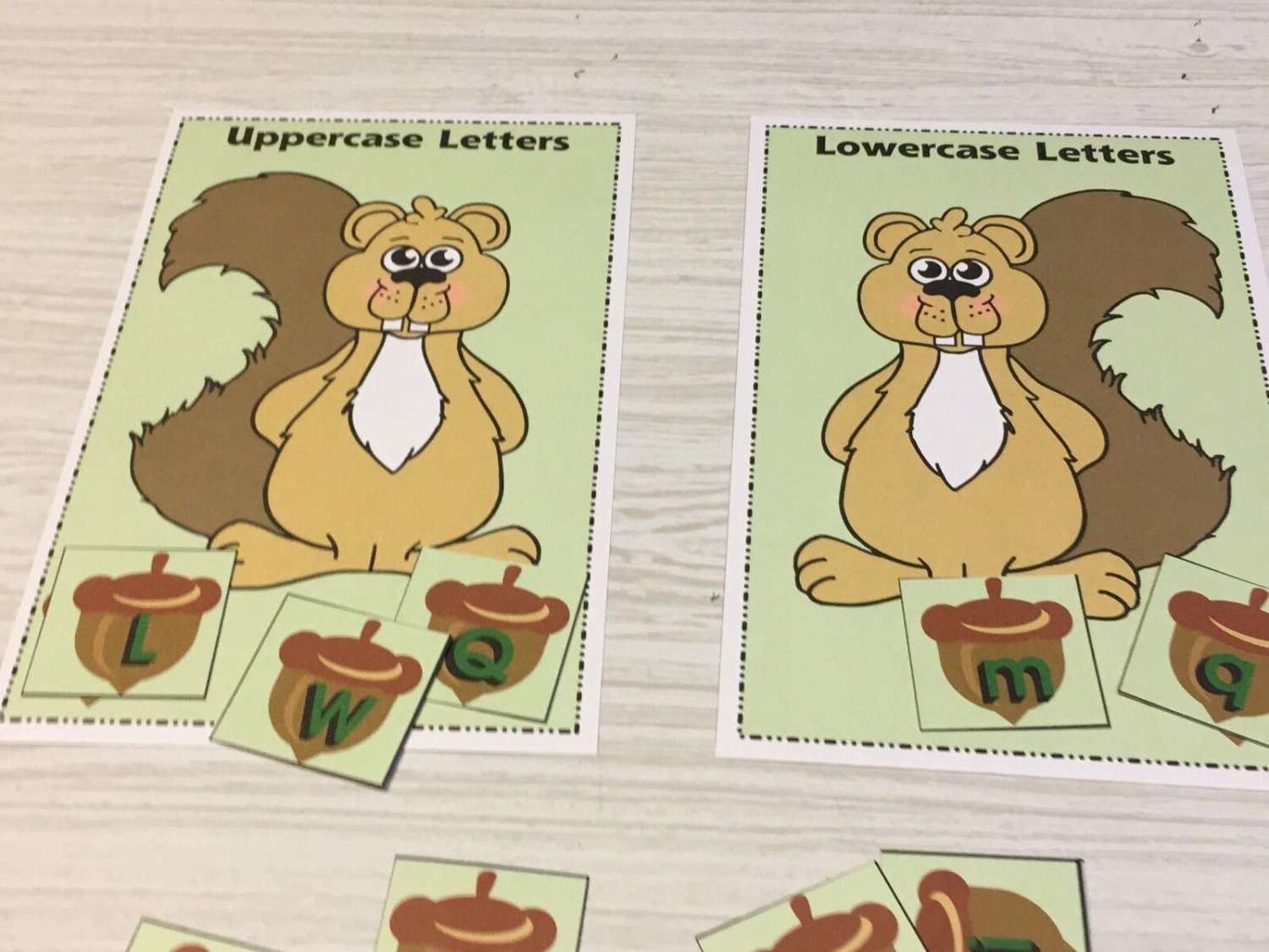 Squirrel’s Acorn Sort - Uppercase Lowercase -Laminated Activity Set