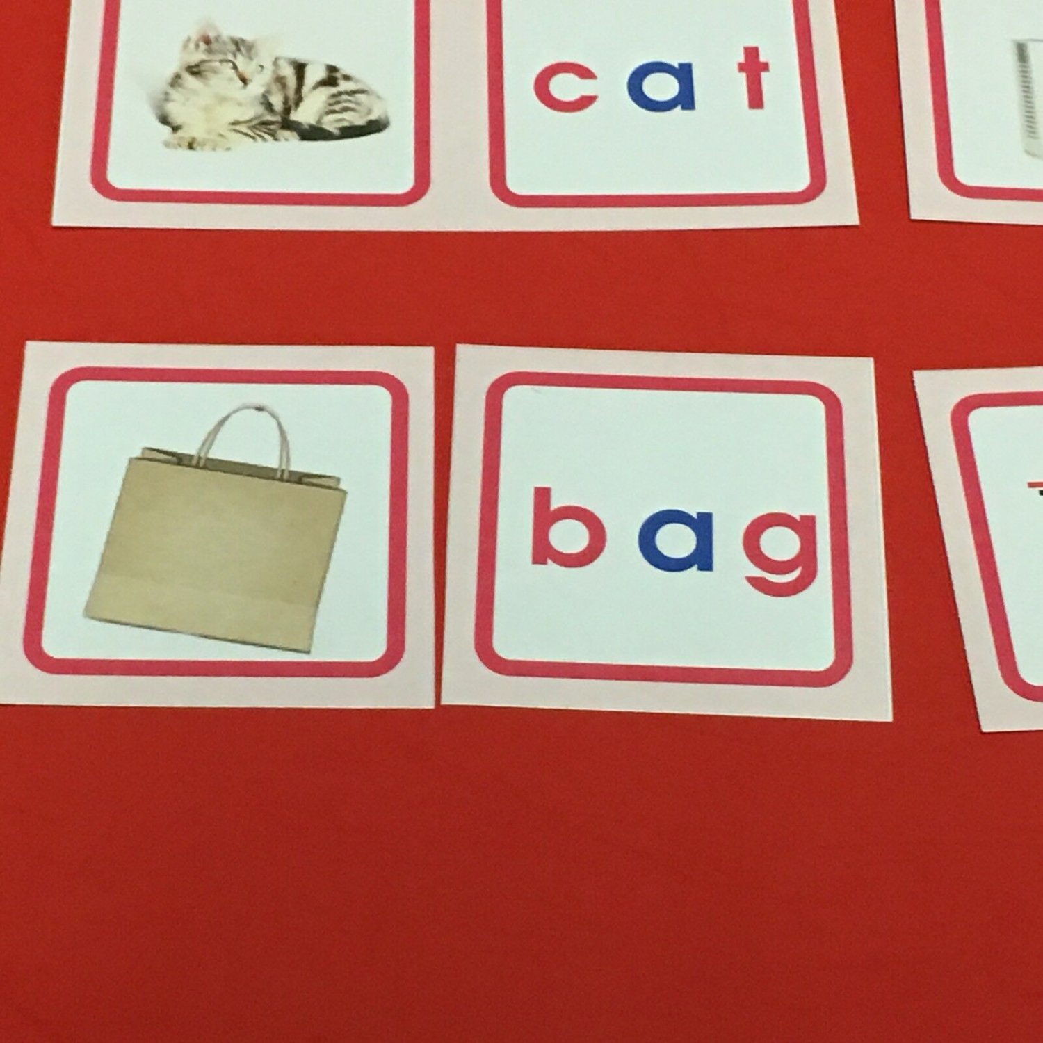 Pink Series Montessori - CVC PICTURE & WORD MATCH CARDS - 120 Laminated ...