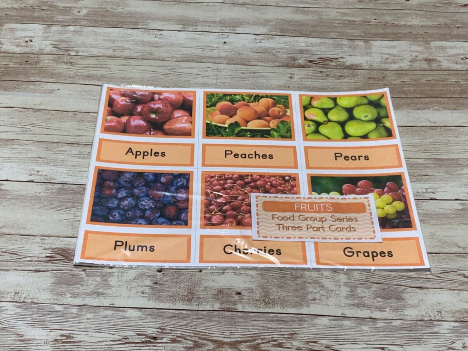 Montessori - Fruits - Food Groups Series - Three Part Card - (PRINTED) DIY