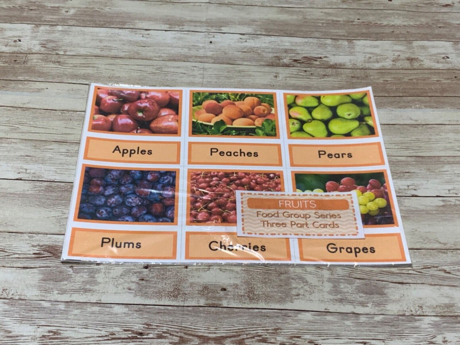 Montessori - Fruits - Food Groups Series - Three Part Card - (PRINTED) DIY