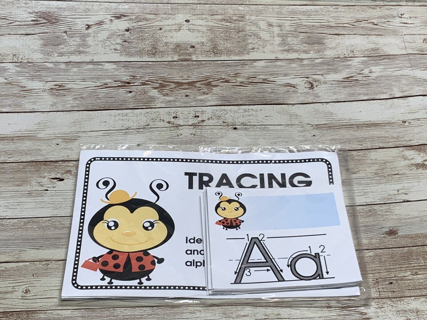 Lady Bug - Themed Learning Centers - Laminated - Tracing Letters