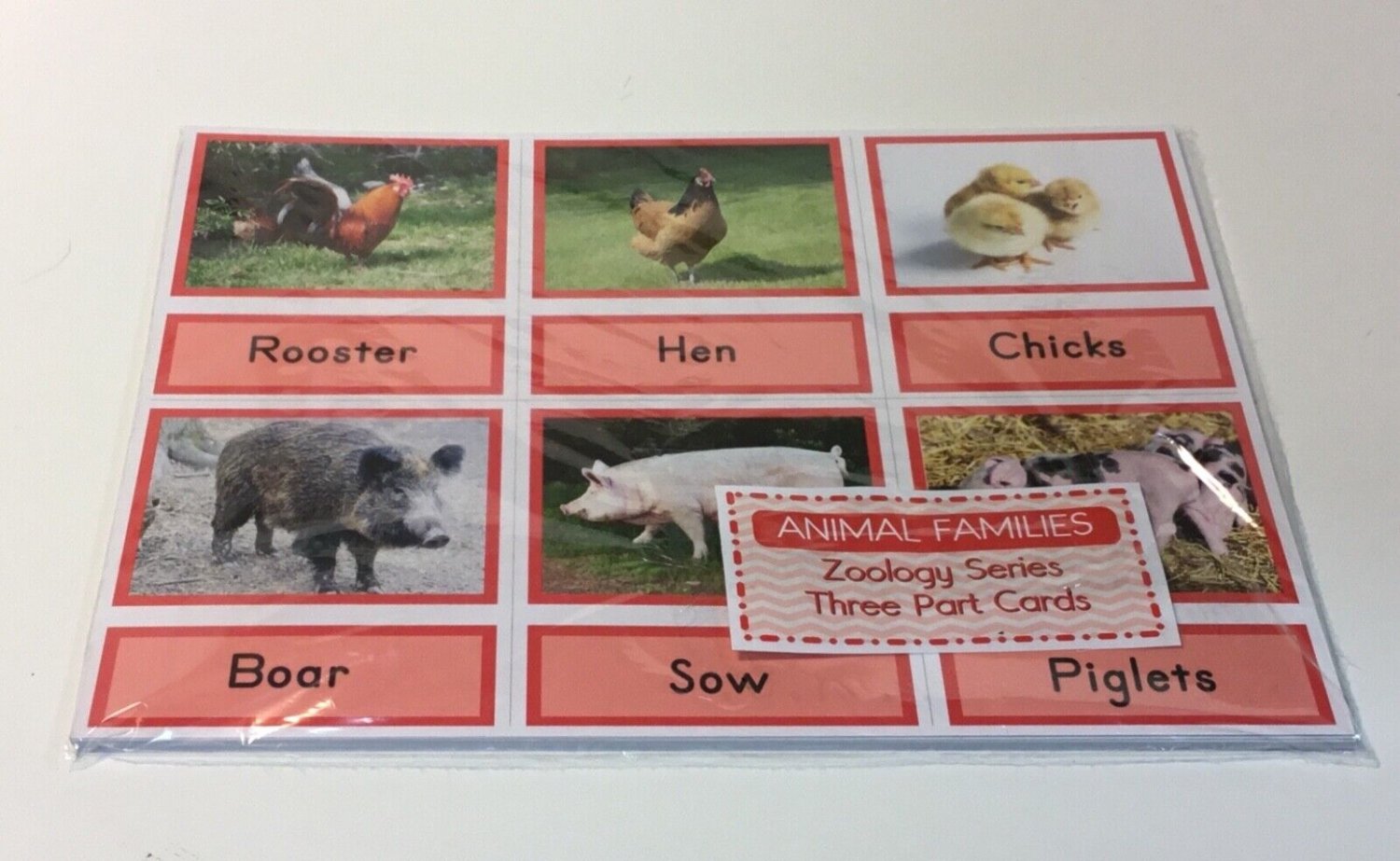 Animal Families - Zoology Series - Montessori Three Part Card ...