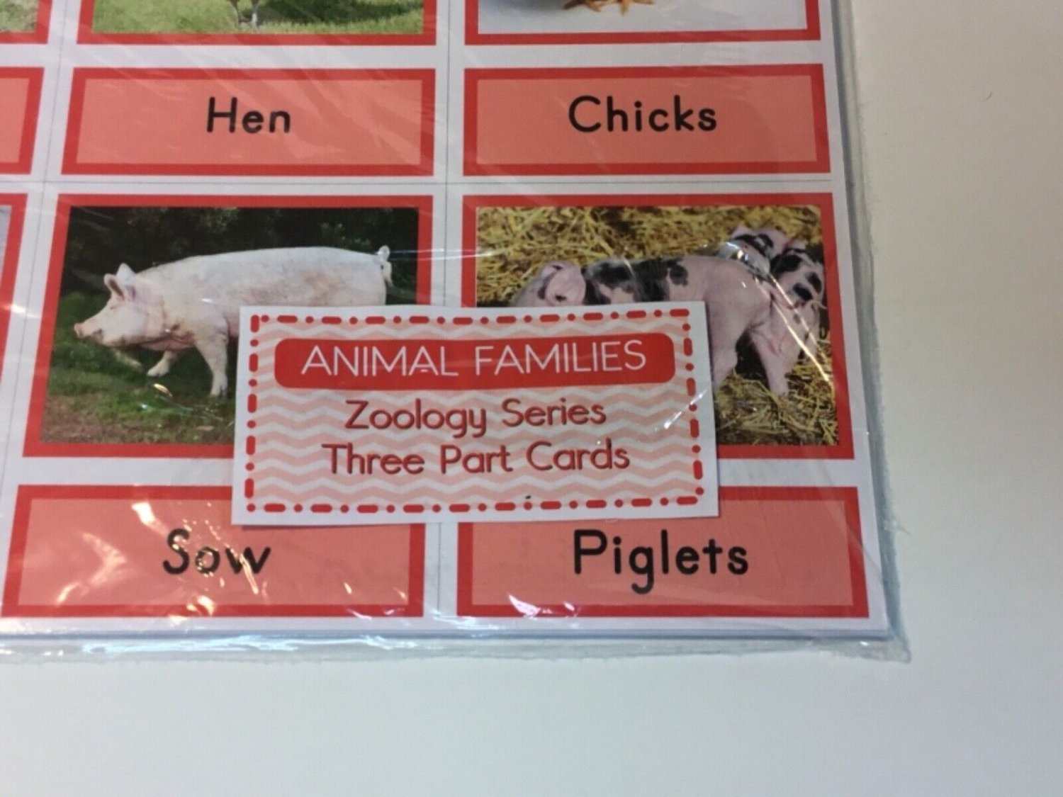 Animal Families - Zoology Series - Montessori Three Part Card ...