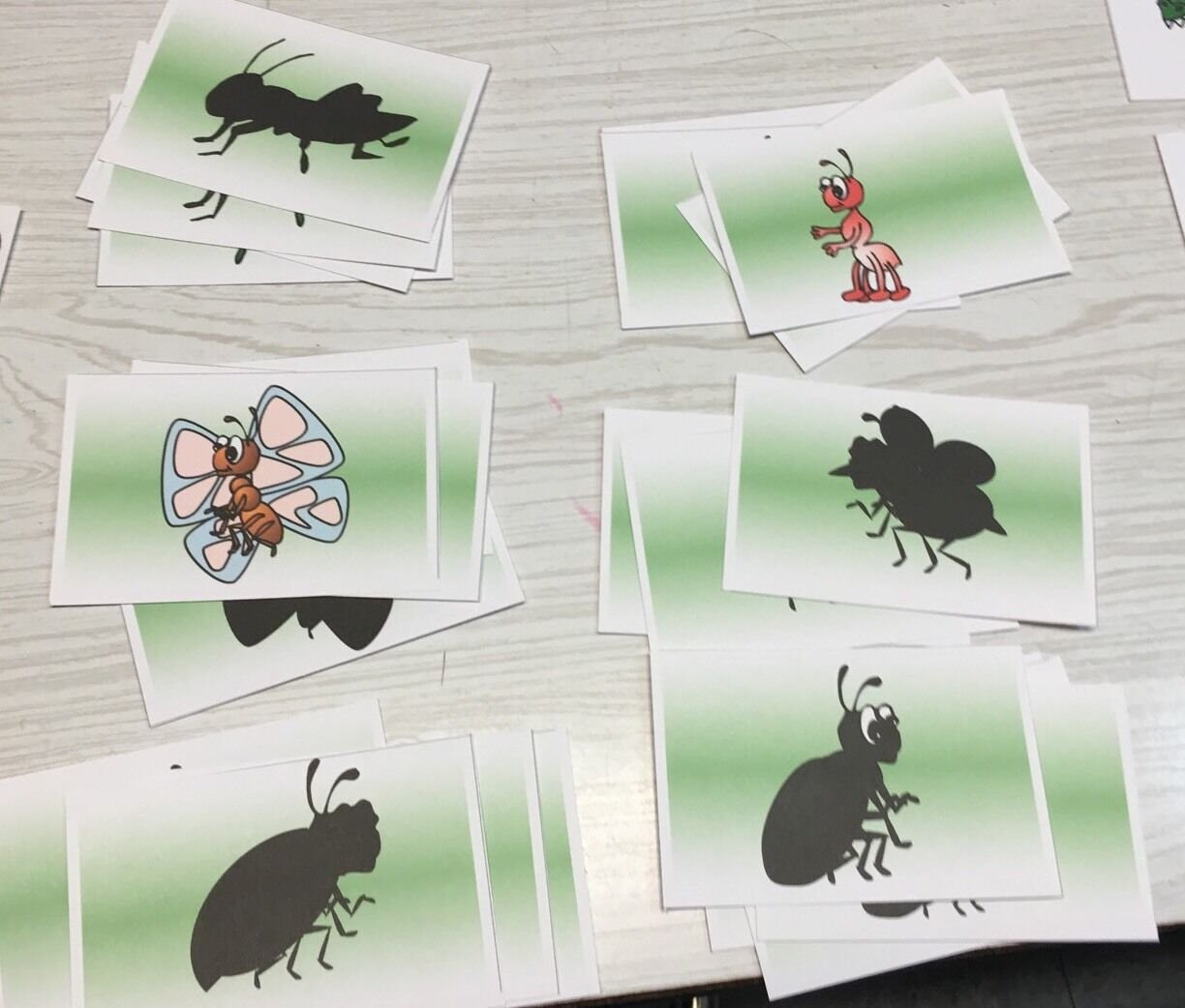 Insects Shadow Match Cards - Laminated Activity Set - Teaching Supplies