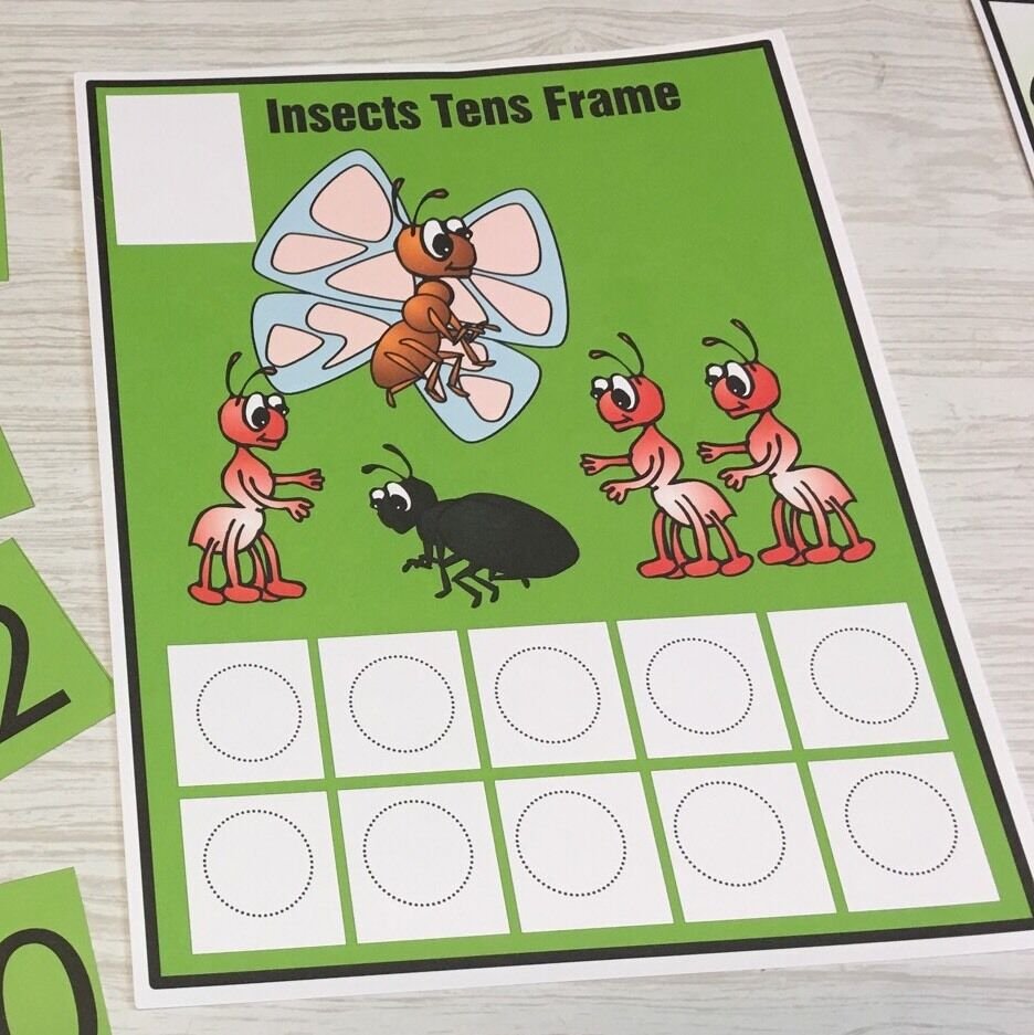 Insects - Ten frame Mat Laminated Activity Set - Teaching Supplies