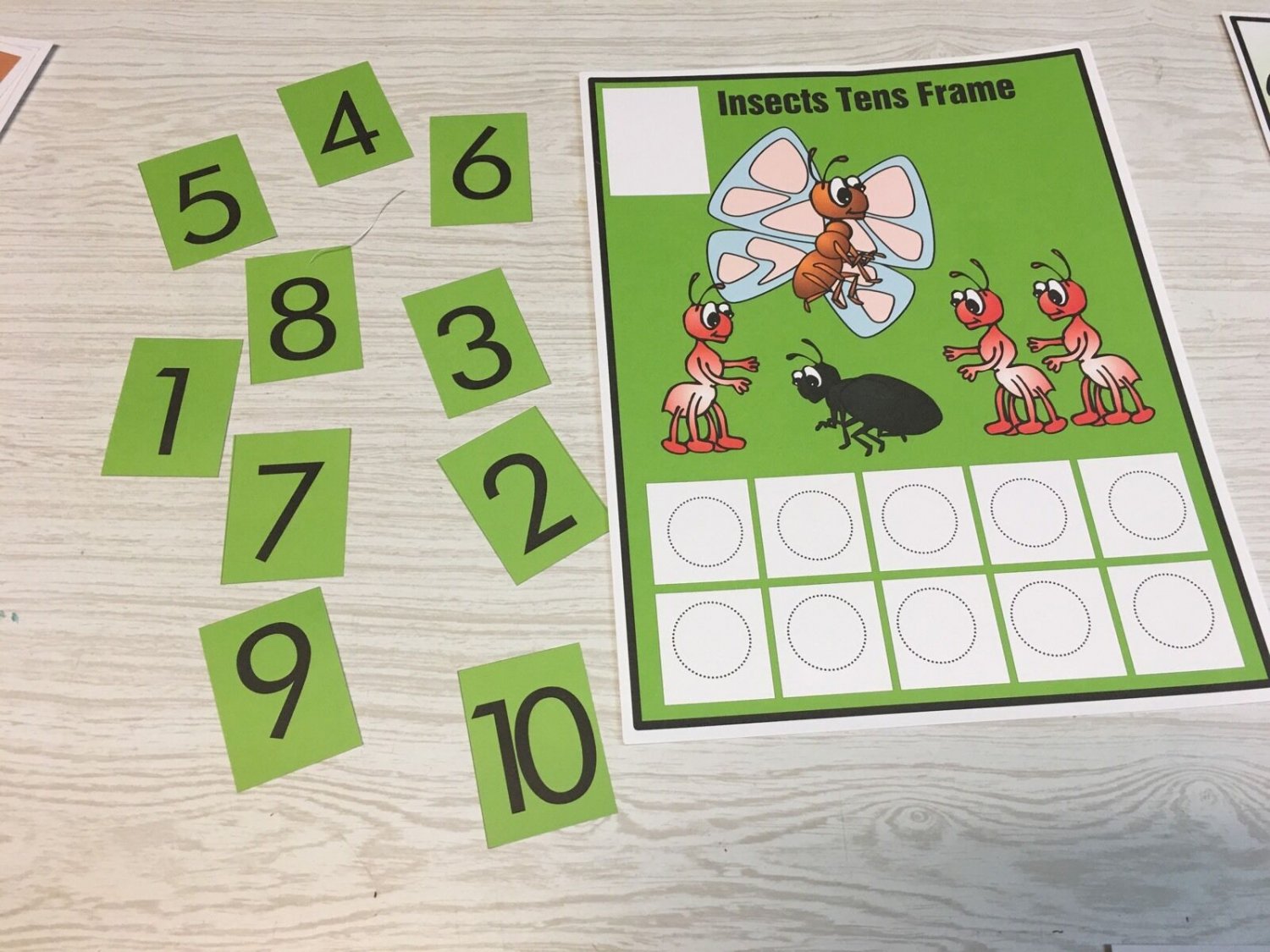 Insects - Ten frame Mat Laminated Activity Set - Teaching Supplies