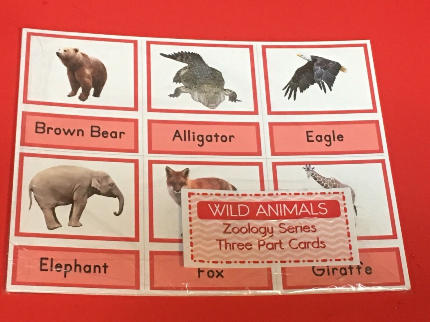 Wild Animals - Zoology Series - Montessori 3 Part Card - (PRINTED) 30 ...