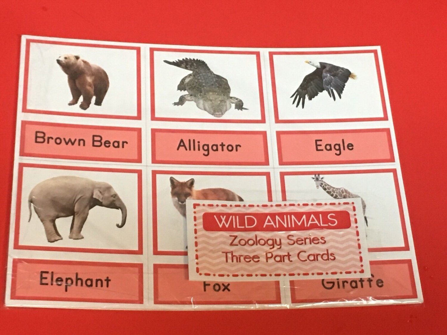 Wild Animals - Zoology Series - Montessori 3 Part Card - (PRINTED) 30 ...