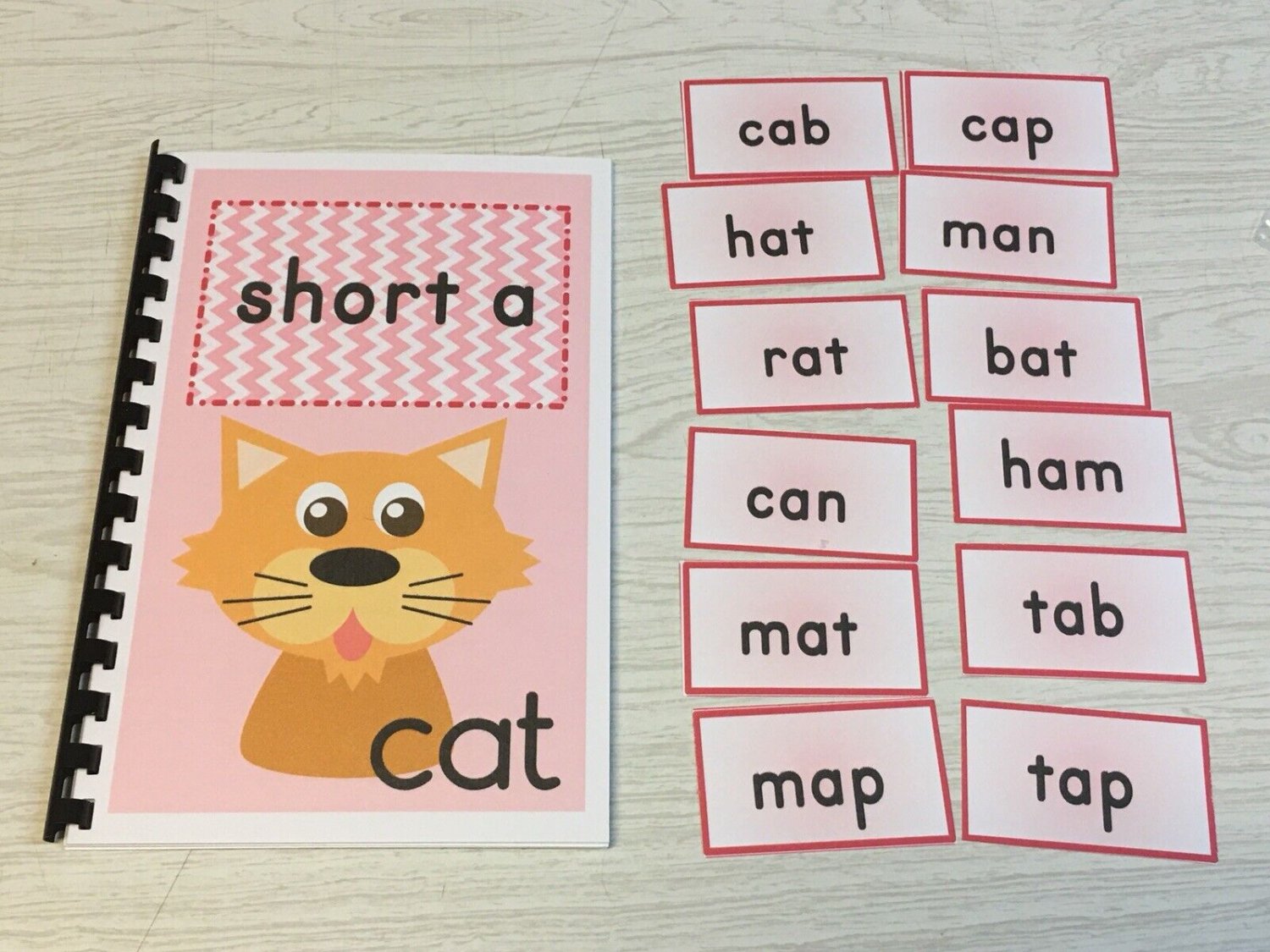 Interactive Learning Books for Children - Short “a” book - w/ 12 ...