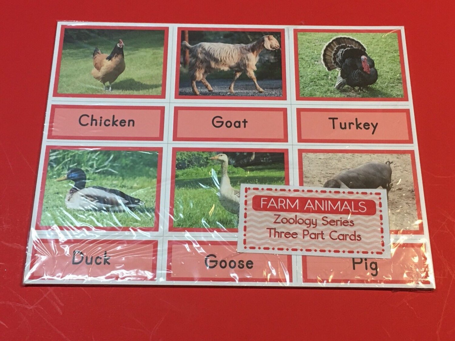 Farm Animals - Zoology Series - Montessori Three Part Card - (PRINTED) DIY