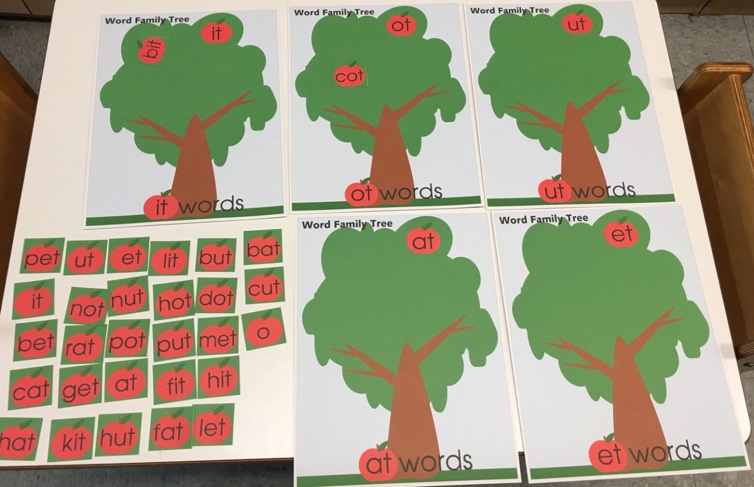 CVC Word Family Tree - Sorting - Laminated Mats and 30 Apple Word cards.
