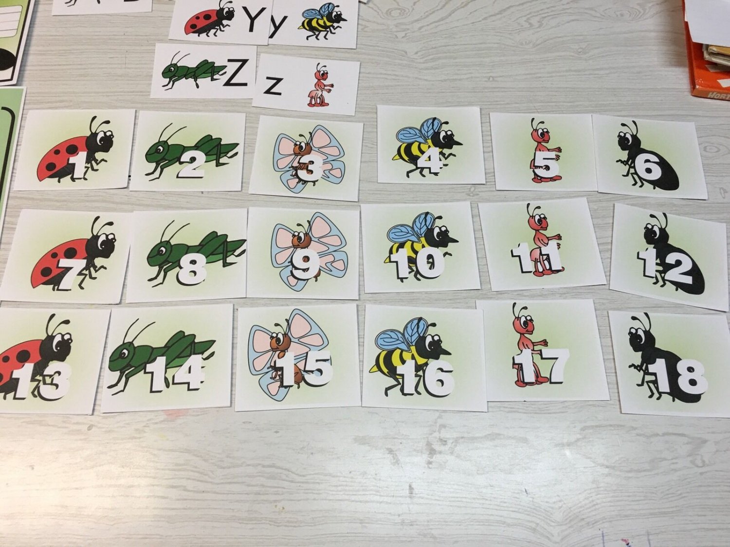 Insects - Number Cards 0- 20 - Laminated Activity Set - Teaching Supplies