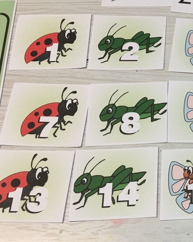 Insects - Number Cards 0- 20 - Laminated Activity Set - Teaching Supplies