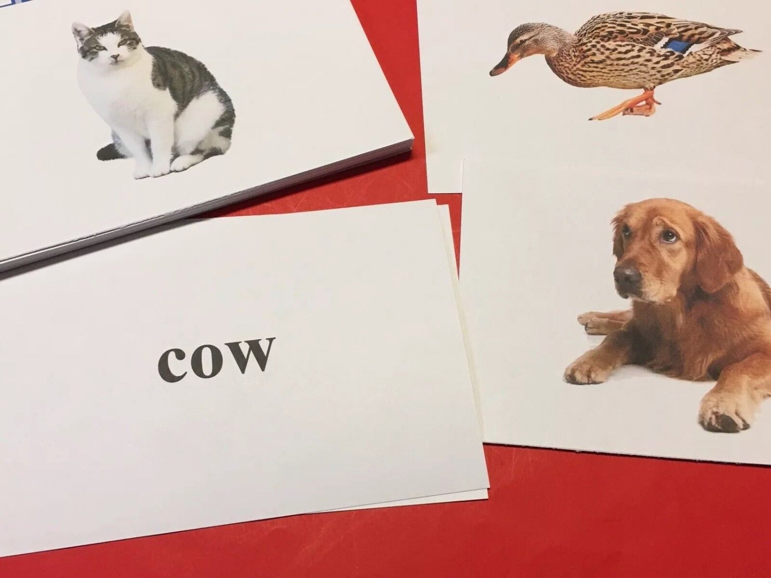 Farm Animals- Picture Cards for Language Development - Kit Two - 8.5 X 5.5