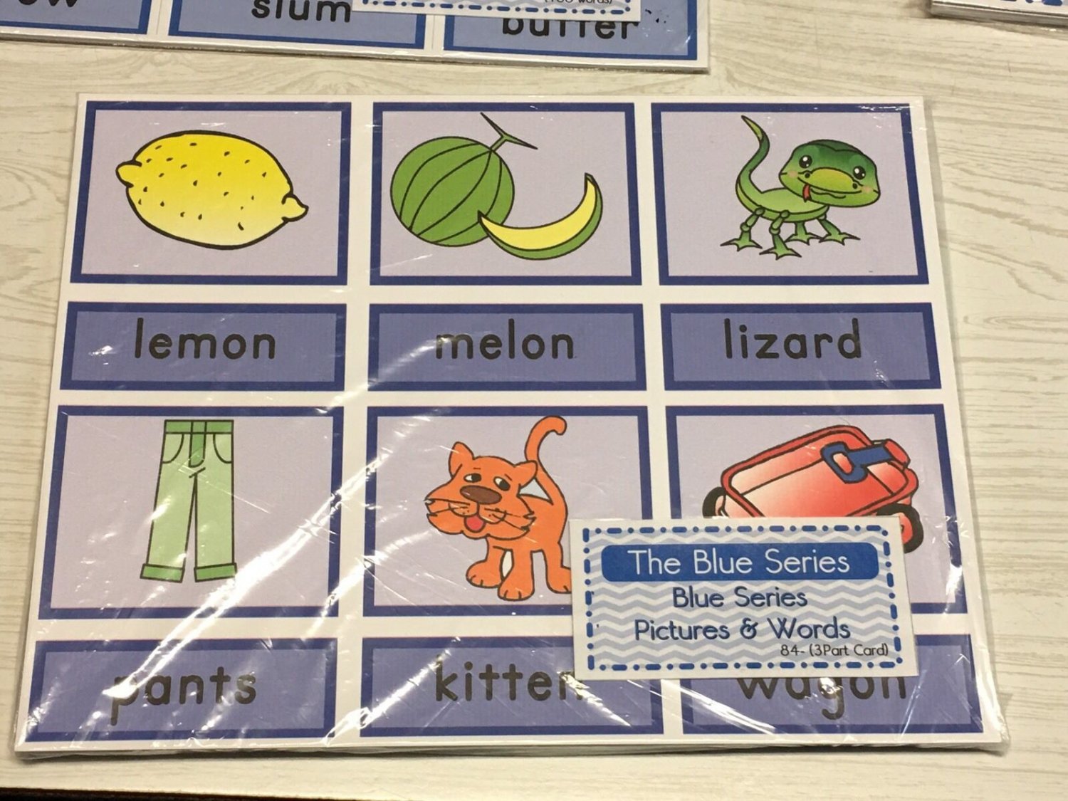 The Blue Series - Pictures & Words 108 (Three Part Card) Laminated ...